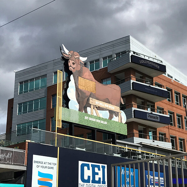 The Famous Snorting Bull Takes a Hit From Zeta – Capitol Broadcasting ...